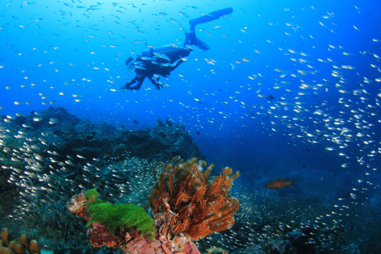 Scuba Diving in Thailand - https://www.divingsquad.com