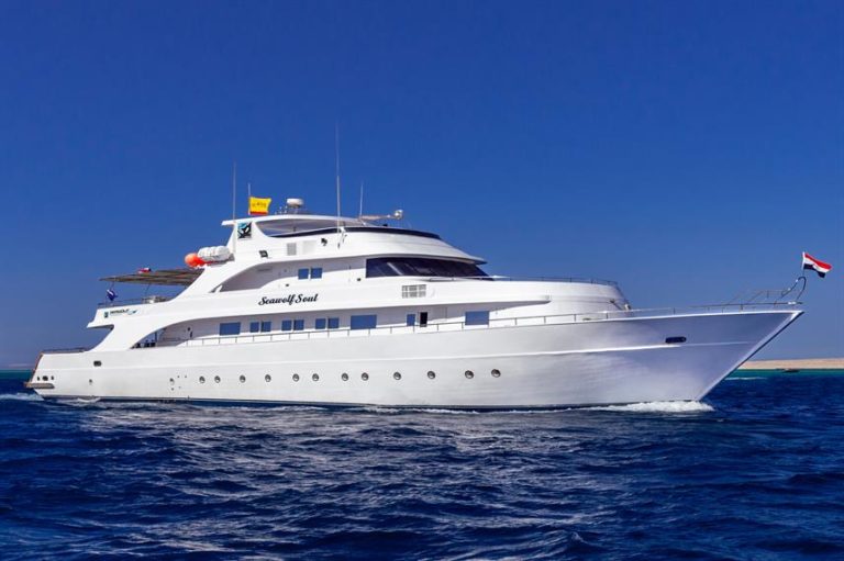 Best Red Sea Liveaboard Reviews (2023 EDITION)
