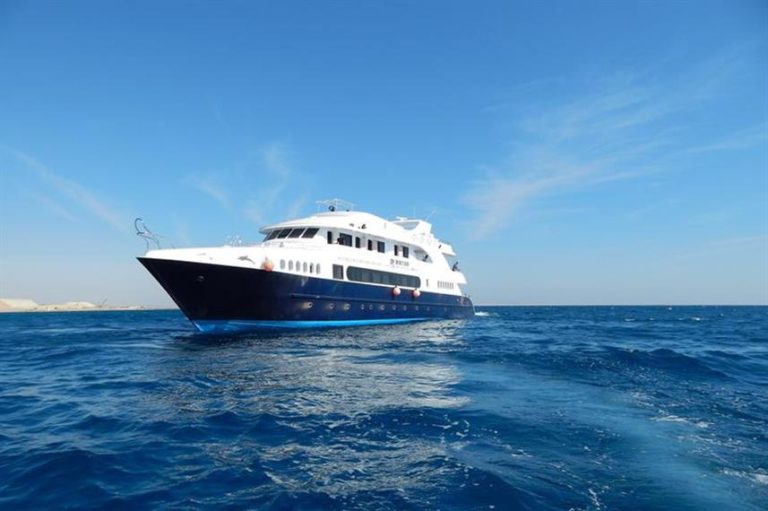Best Red Sea Liveaboard Reviews (2023 EDITION)