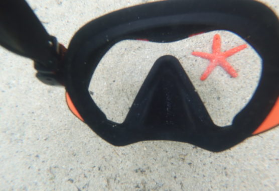 12 Best Scuba Masks of 2024 [30 Reviewed]