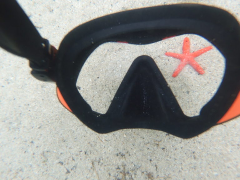30 Best Scuba Masks - Diving Squad Report (2022 EDITION)