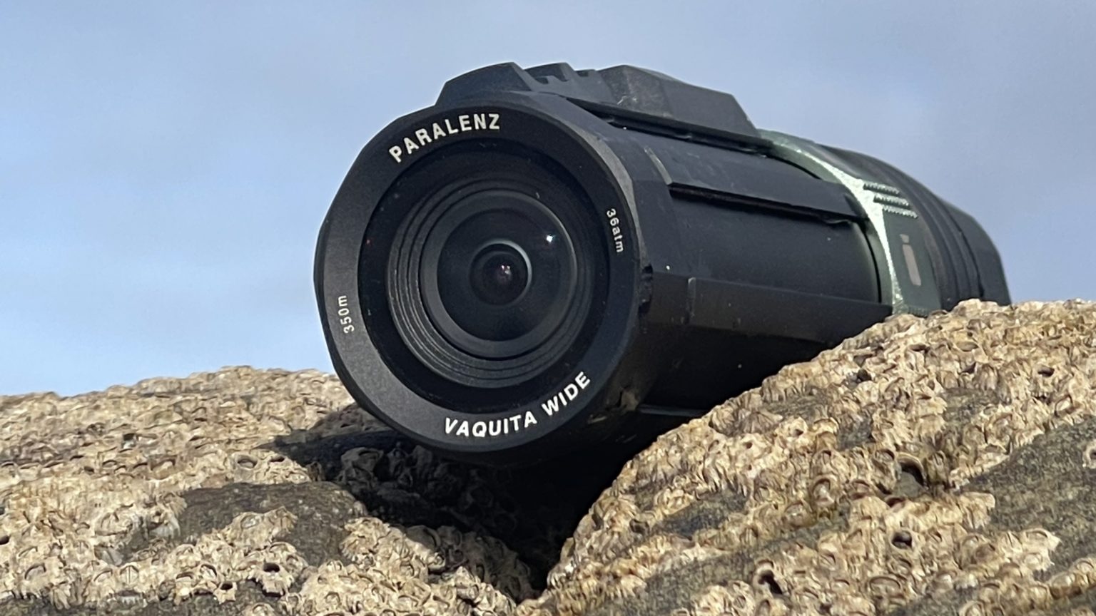 Best Dive Camera Reviews: Diving Squad Report (2023 EDITION)