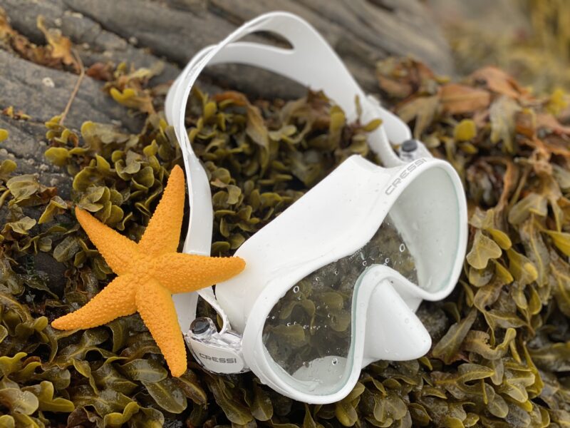 Cressi F1 Frameless: Scuba Mask Review (2024)