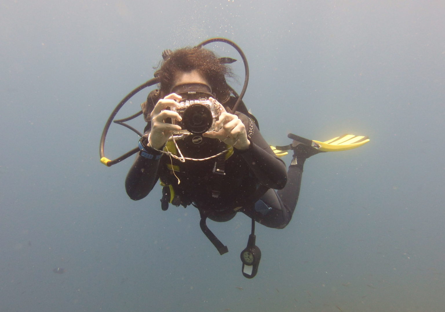 Best Dive Camera Reviews: Diving Squad Report (2022 EDITION)