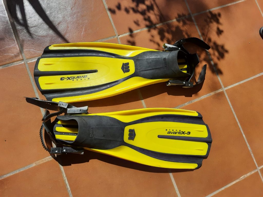 20 Best Scuba Fins for Divers: Reviews by Diving Squad (2022 EDITION)