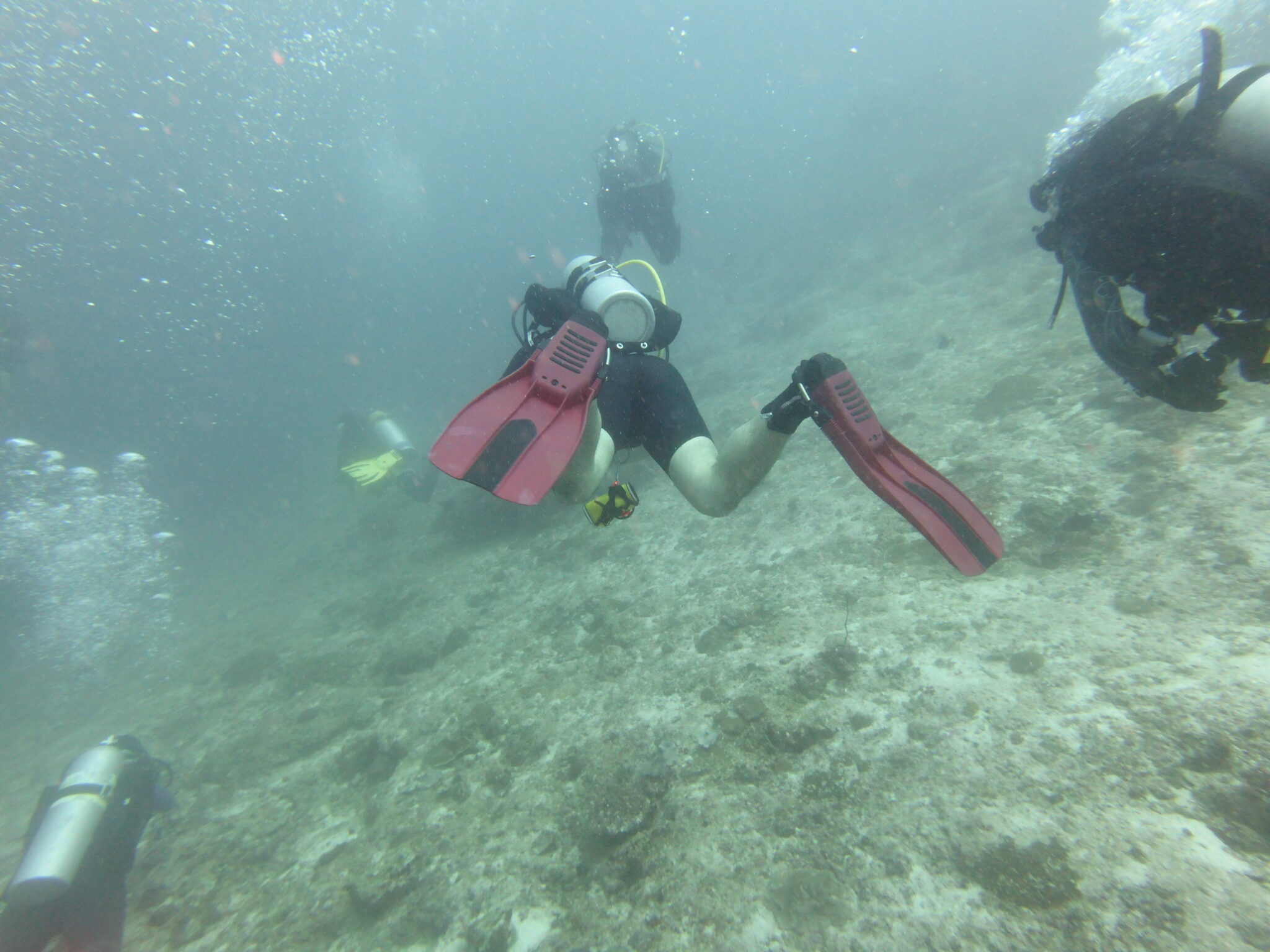 21 Best Scuba Fins for Diver: Tried and Tested [2025 EDITION]