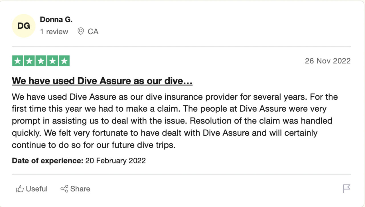 Best Scuba Diving Insurance (2024 EDITION)
