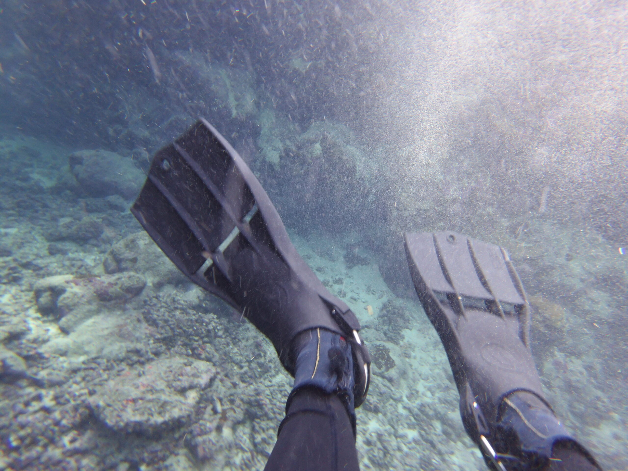 Apeks RK3 Scuba Fins - Diving Squad Report