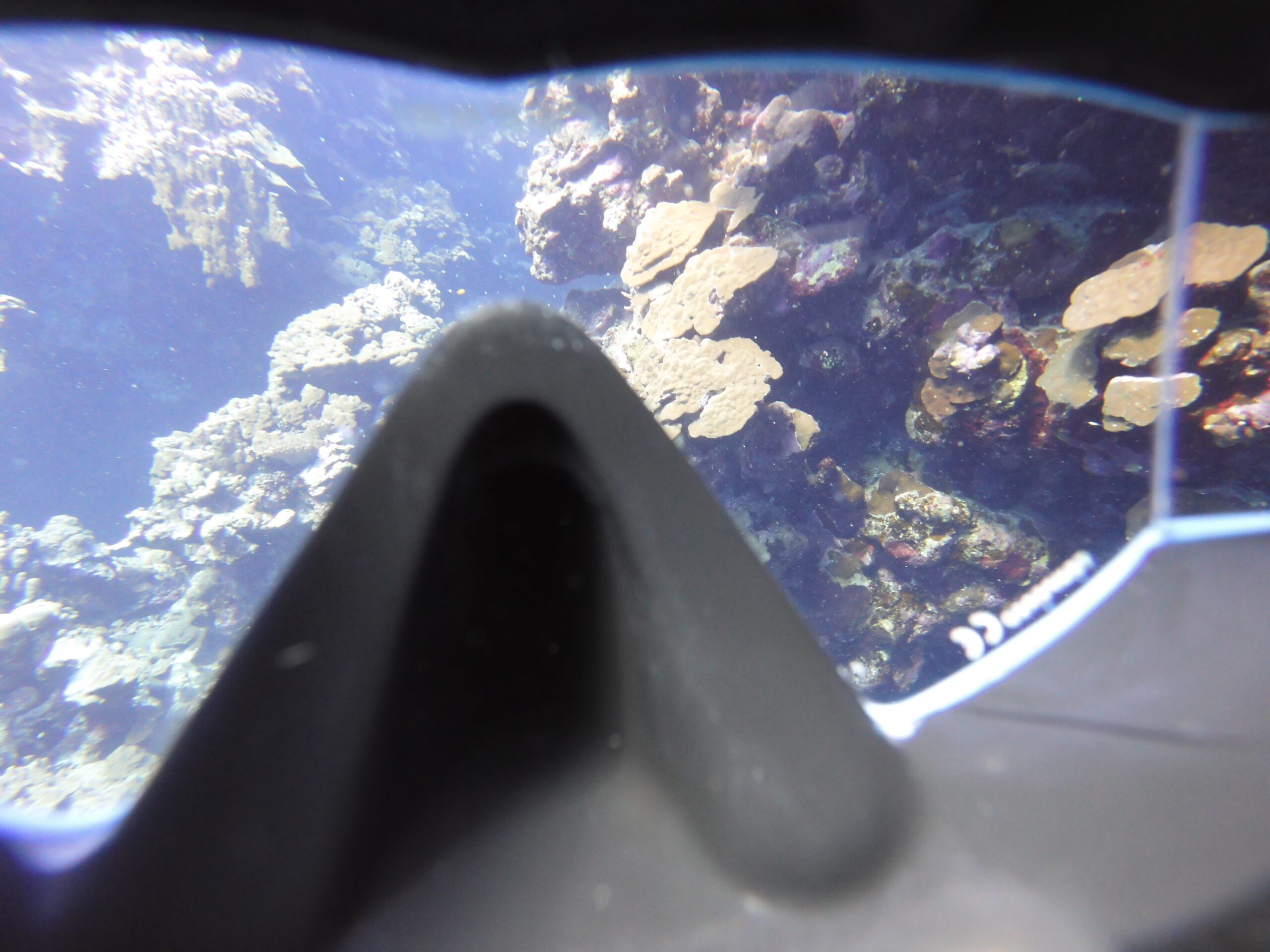 Cressi Pano 3 Scuba Diving Mask - Report by Diving Squad