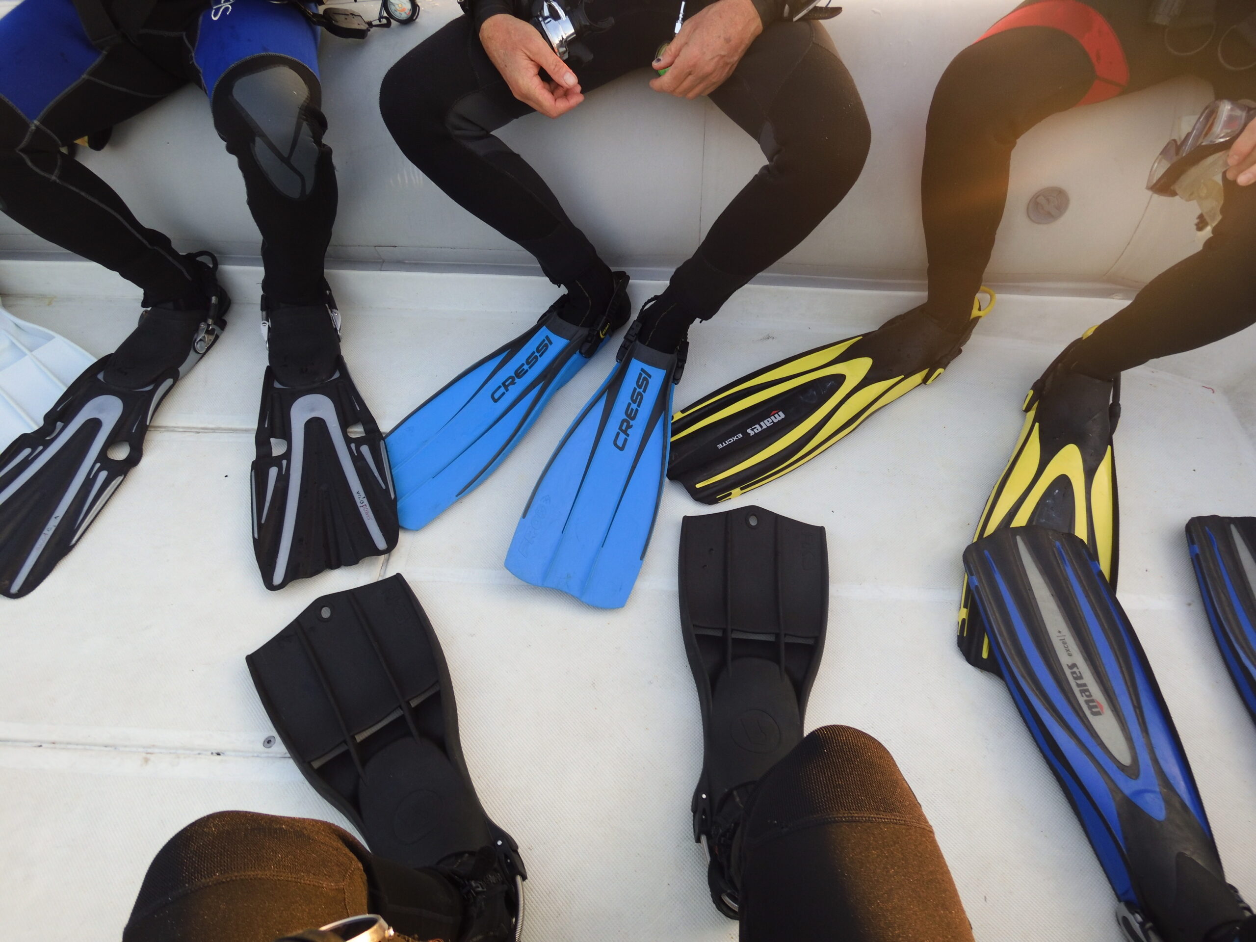 10 Best Scuba Fins of 2024 (20+ Reviewed)