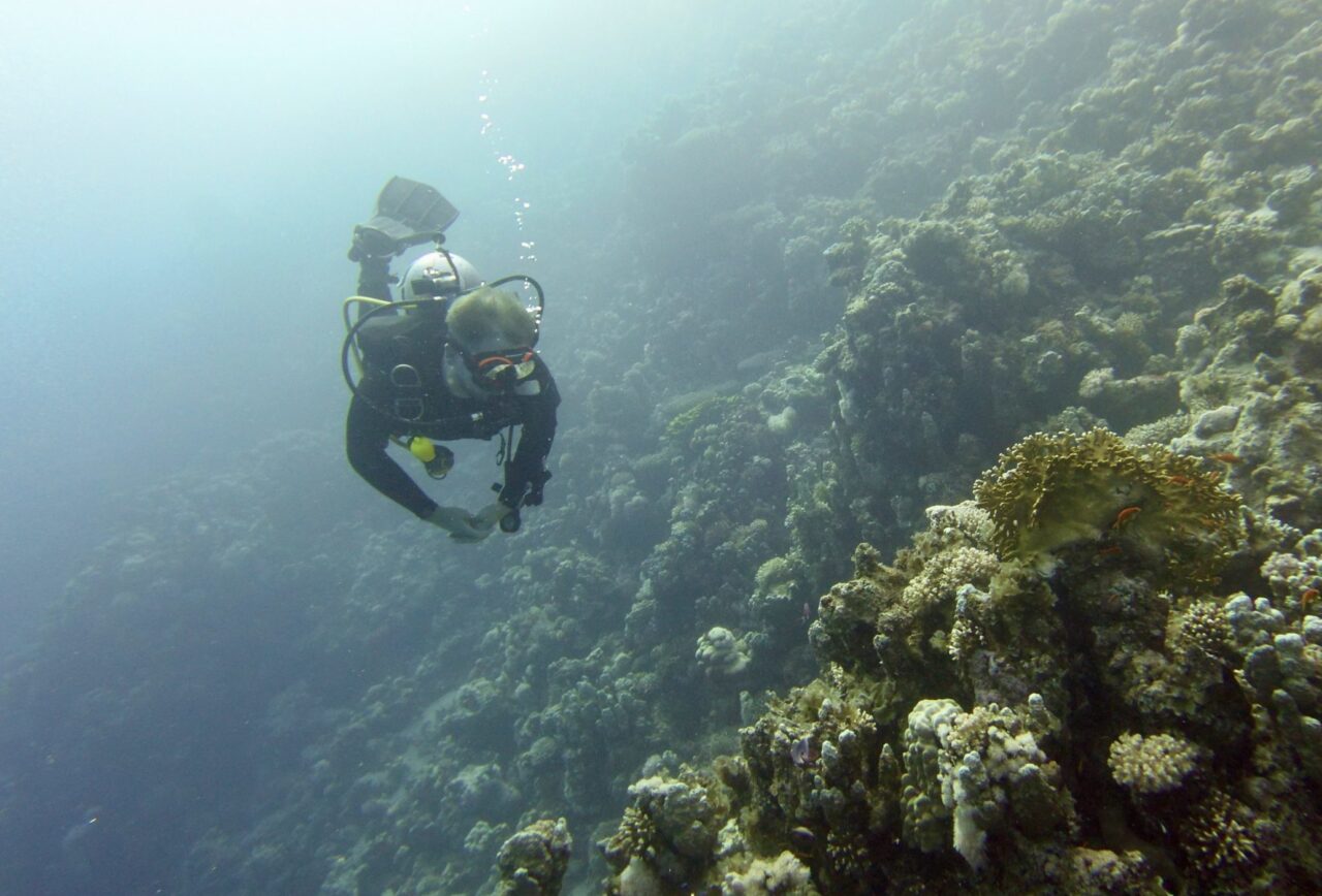 Atomic Aquatics Venom Mask - Diving Squad Report