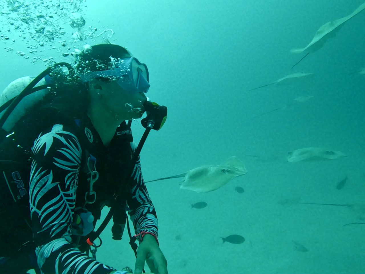 Scuba Diving the Maldives in 2023: DIVING SQUAD REPORT