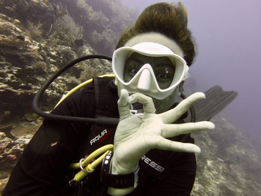 Bohol Diving - Traveller's Guide
