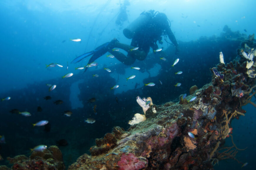 EPIC Coron Diving Guide (2024)