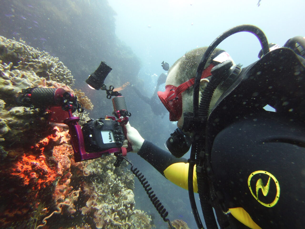 BEST Dive Cameras Reviewed: (2024 EDITION)