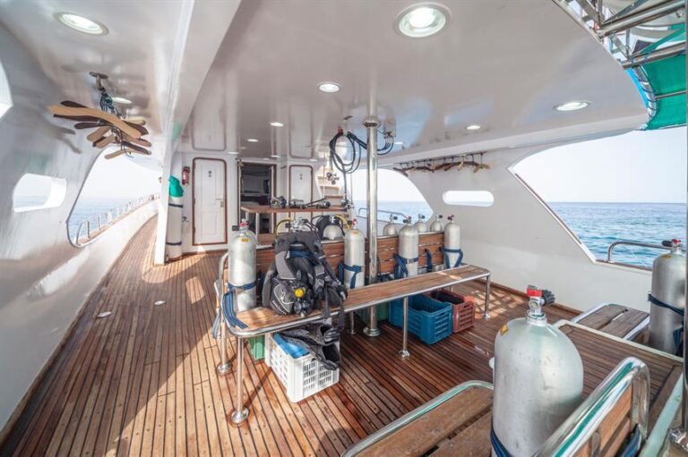 Best Red Sea Liveaboard Reviews (2024 EDITION)