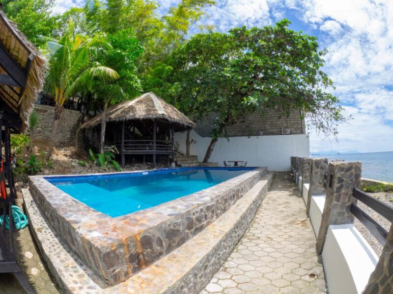 Anilao, Batangas Diving - Guide for Scuba Junkies - Diving Squad