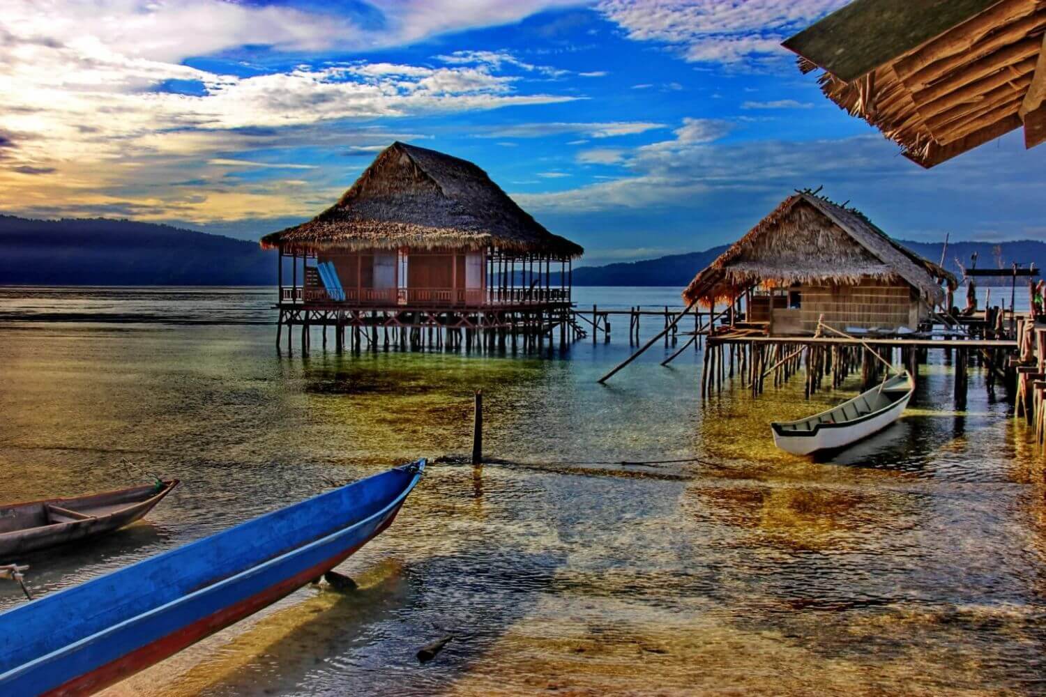 Scuba Diving Raja Ampat Regions, Seasons, Guide & MORE (2024)