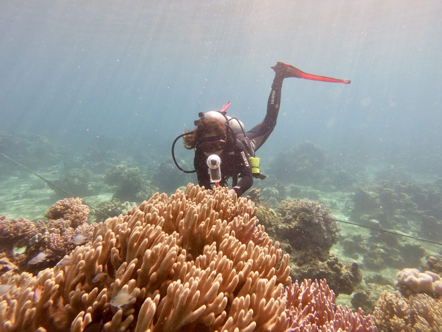Insta360 X4 Review – The 8K 360 Camera That's Redefining Scuba ...