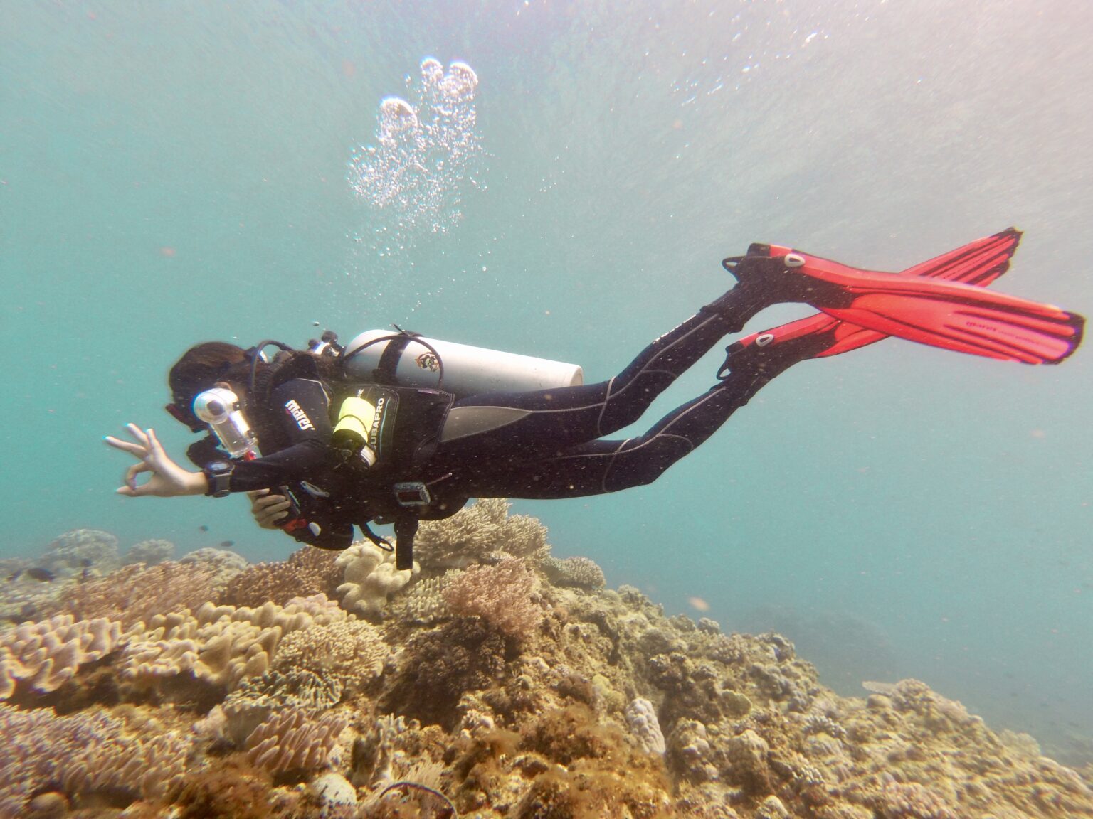 Insta360 X4 Review – The 8K 360 Camera That's Redefining Scuba ...