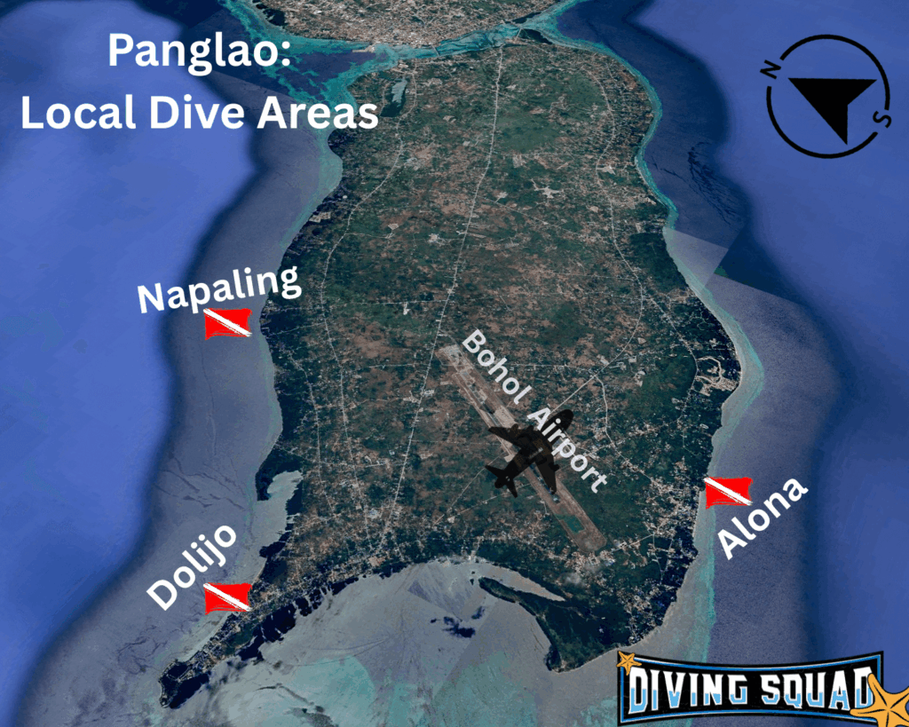 Planning on Diving Bohol? Read This Guide First!
