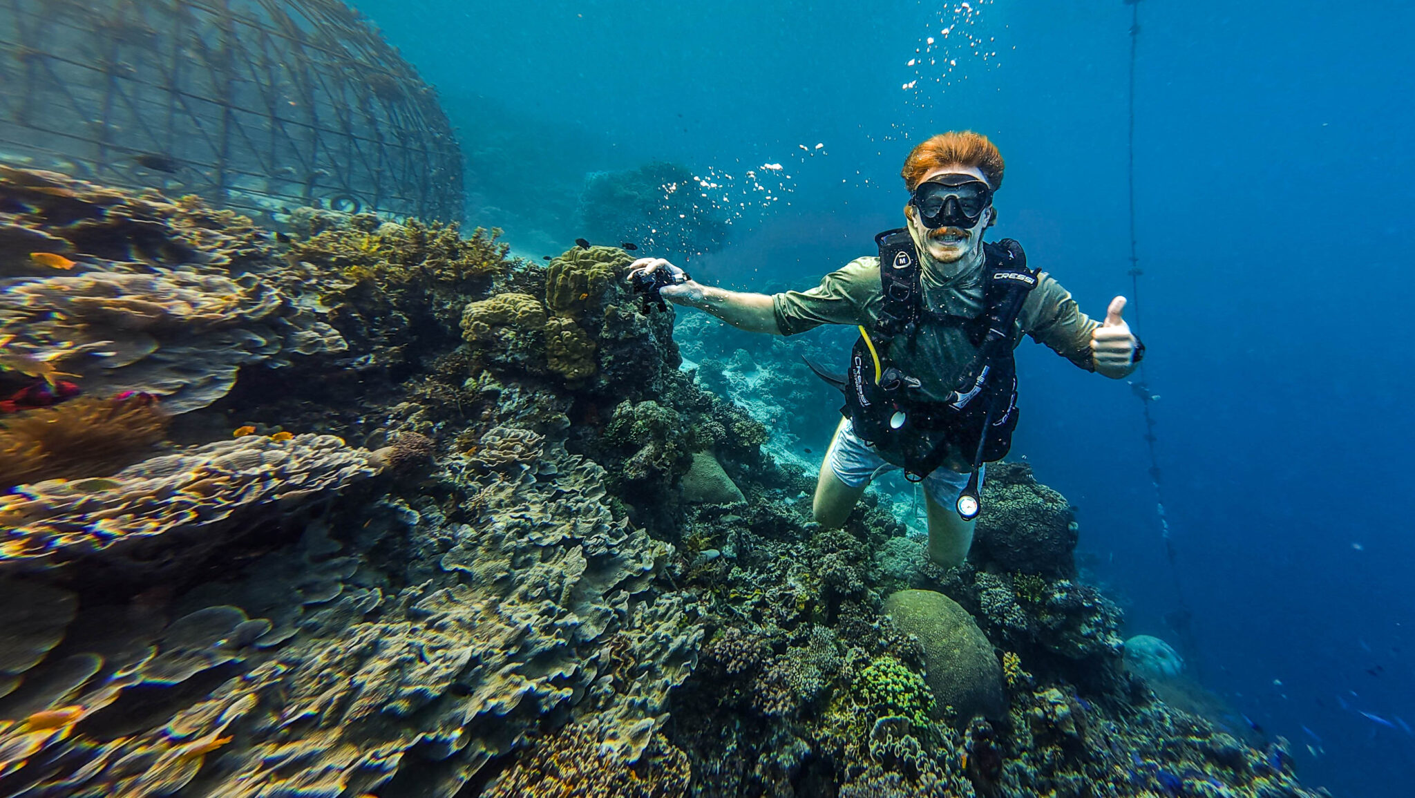 Planning on Diving Bohol? Read This Guide First!